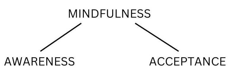 Mind full or Mindful: What Do You Choose?